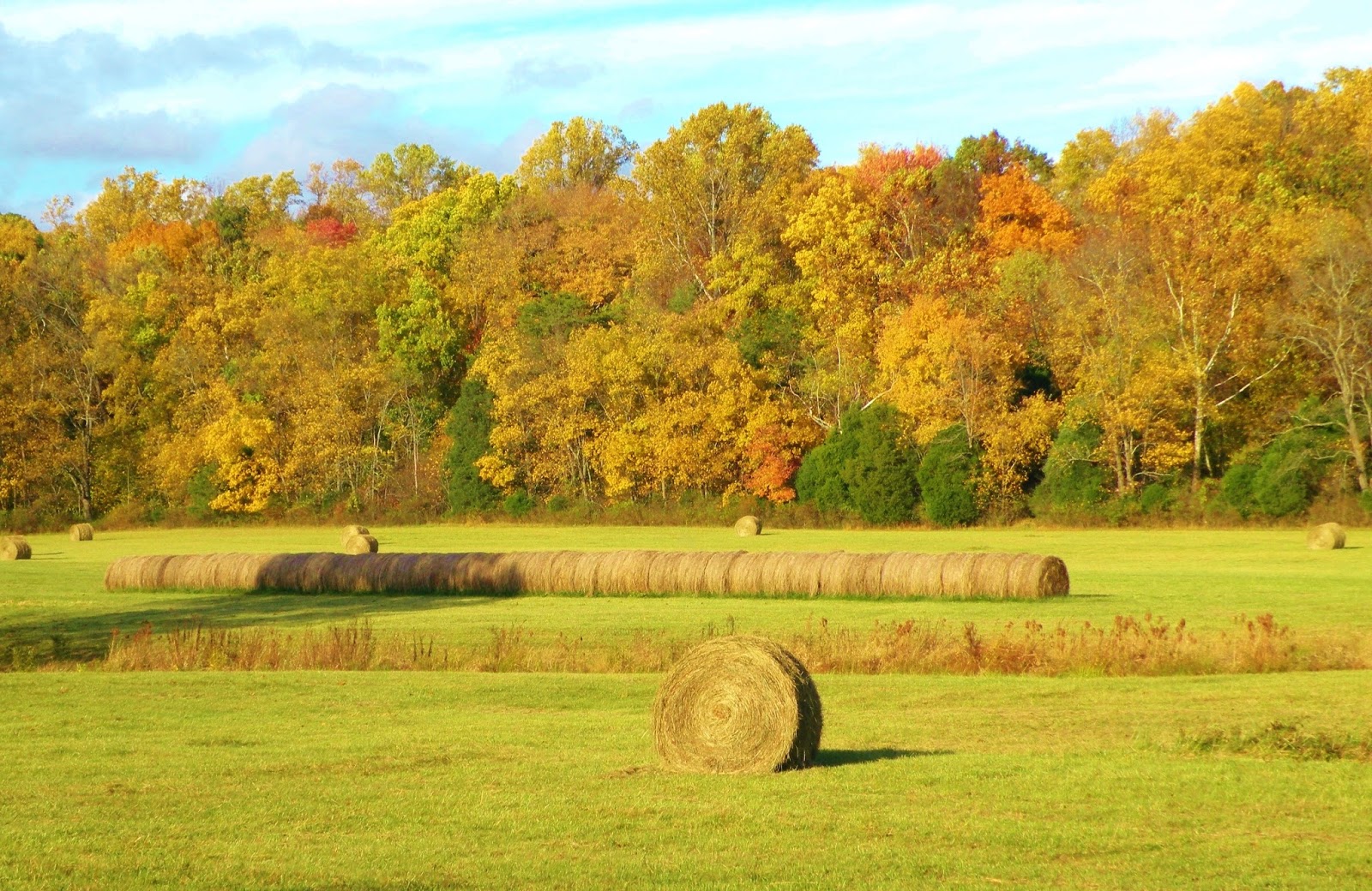 Let Your Light Shine: Fall Hay