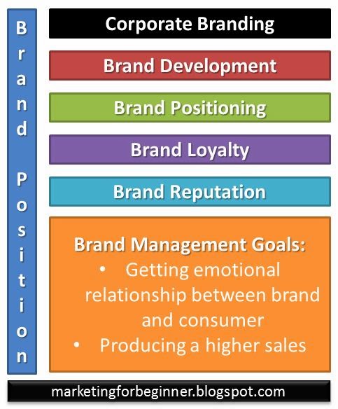 Brand Audit Basic Information for Student and Beginner Marketer