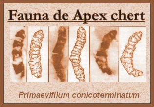 Geo Mestrepedia: ÉON ARQUEANO