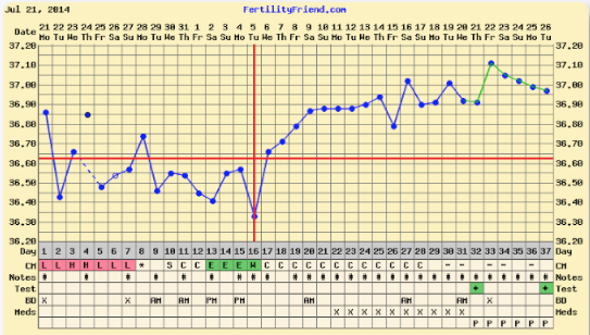 Erin: Finding the Two Lines Journey...||::.: BBT Chart during BFP Cycle..