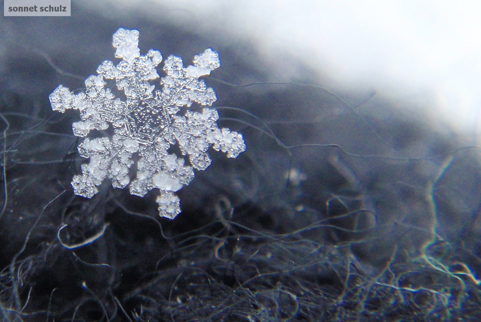Snowflake Images