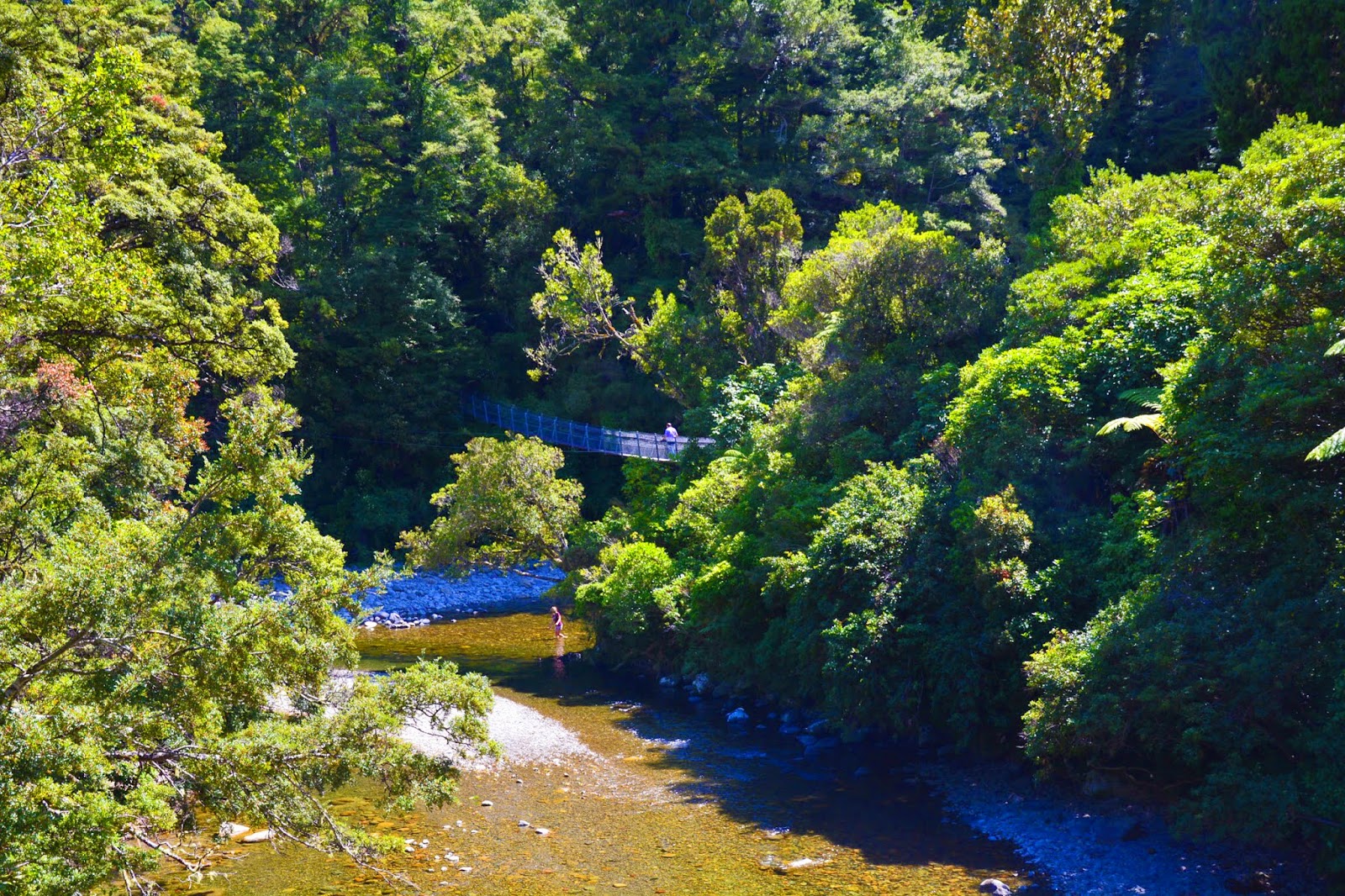PL Fallin Photography: Rivendell, Elves and A Swinging Bridge, Kaitoke ...