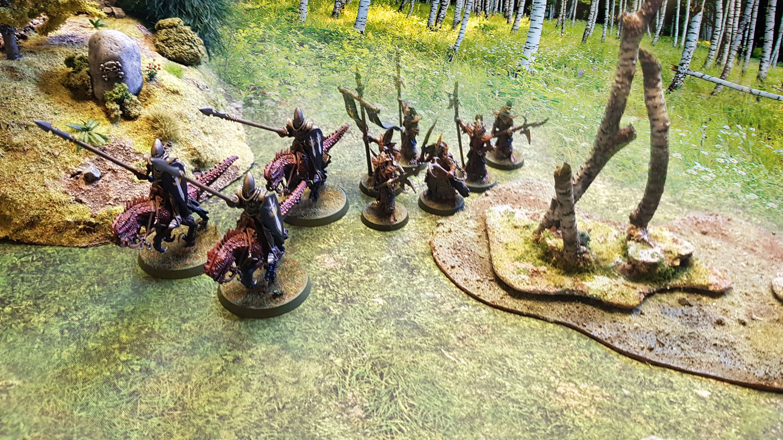 Kampfgruppe Engel: Mörkeralver, troll och illvättingar - Dragon Rampant AAR