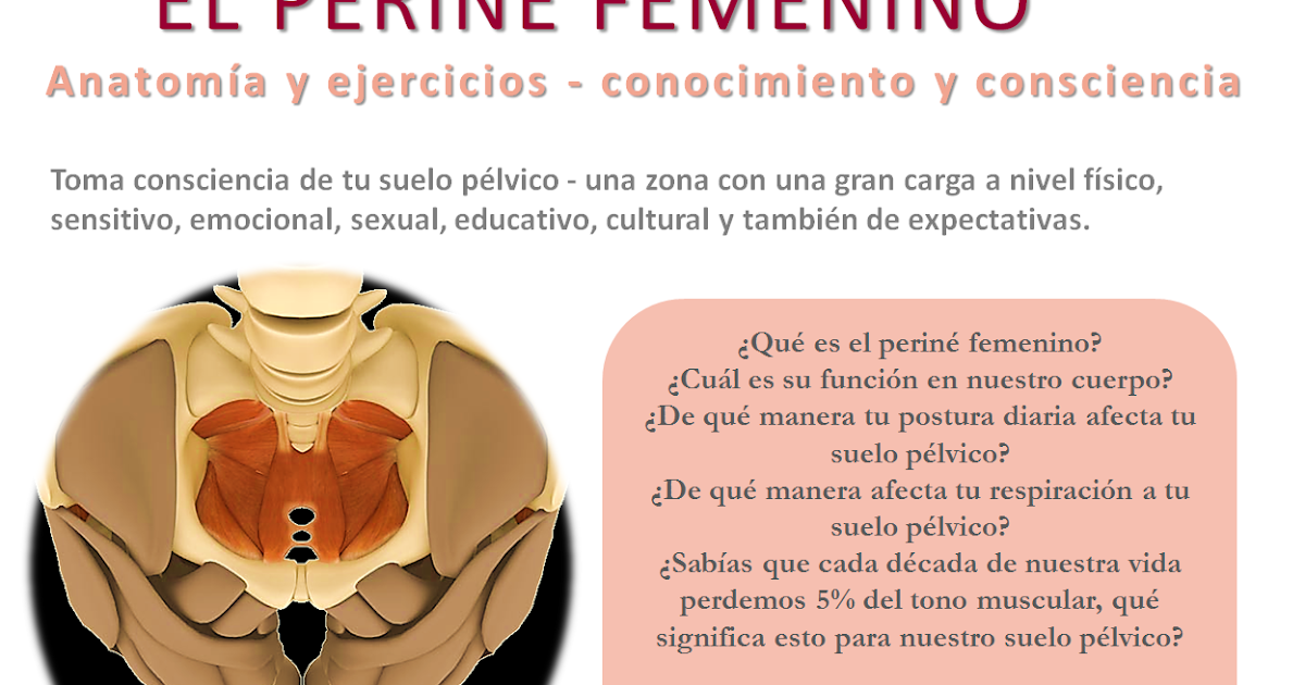 Balance yoga en Barcelona: EL SUELO PÉLVICO