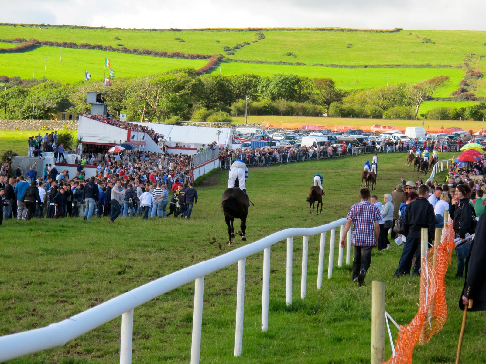 William Morris Fan Club: The Dingle Races, Co. Kerry, Ireland