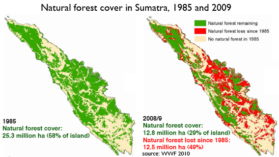 Tropical Rainforest Heritage of Sumatra