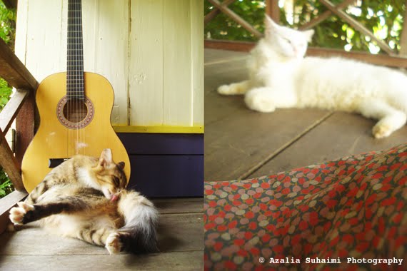 Busking Barefoot: A Break of Cat Naps