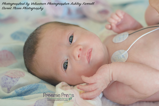 Preemie Prints Information Blog: Pyper's Precious NICU Photo Shoot