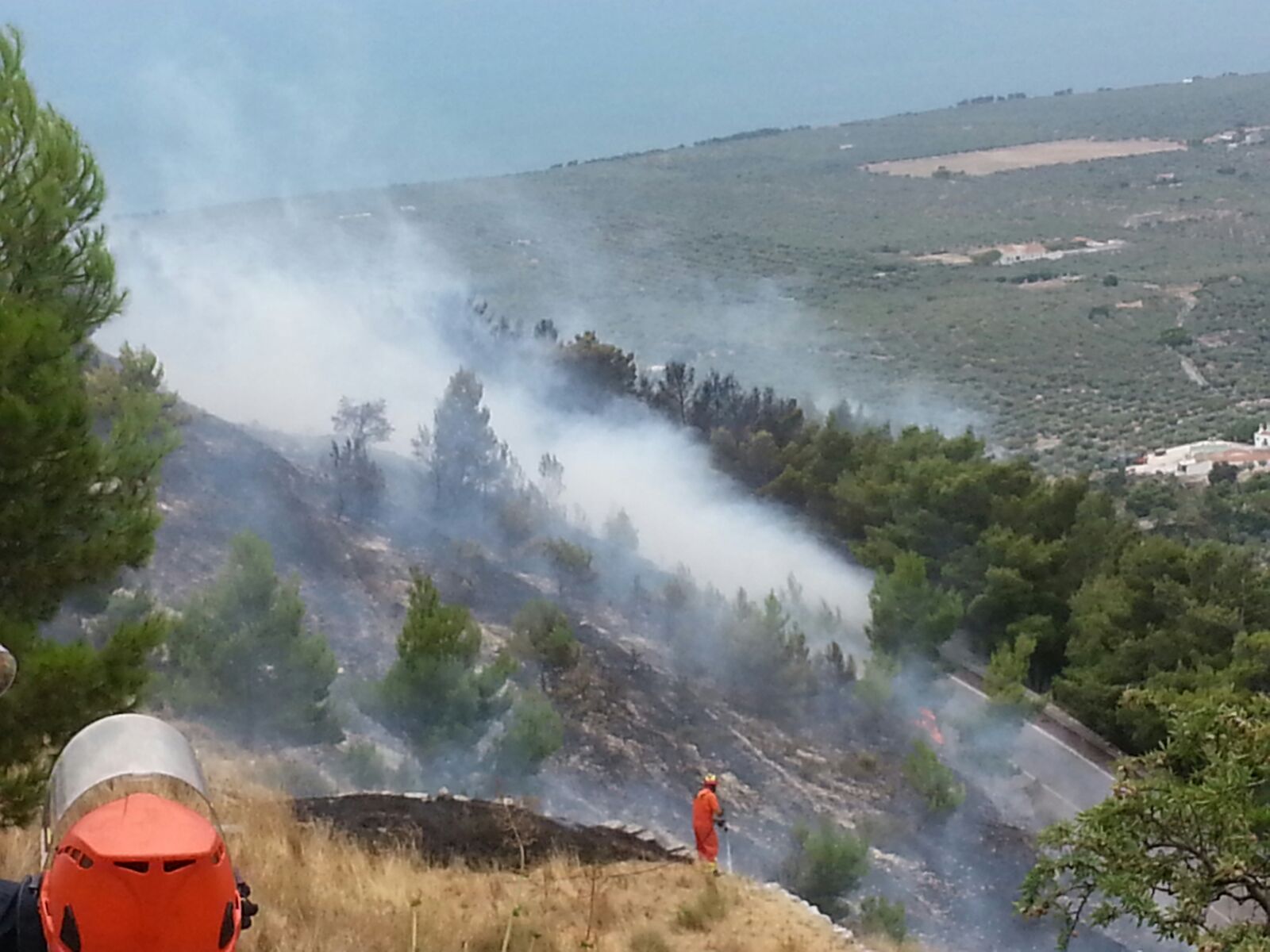 Quattro incendi a San Giovanni Rotondo. In fiamme 50 ettari di bosco