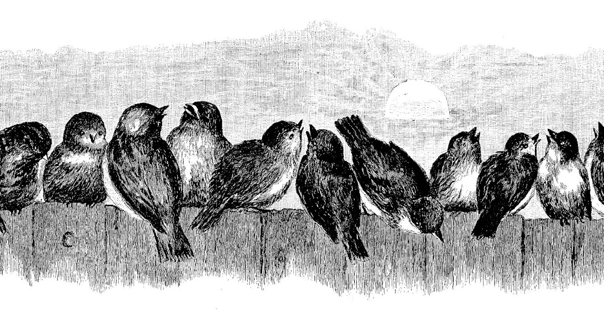 Digital Stamp Design: Free Printable Bird Border Clip Art Birds Fences ...