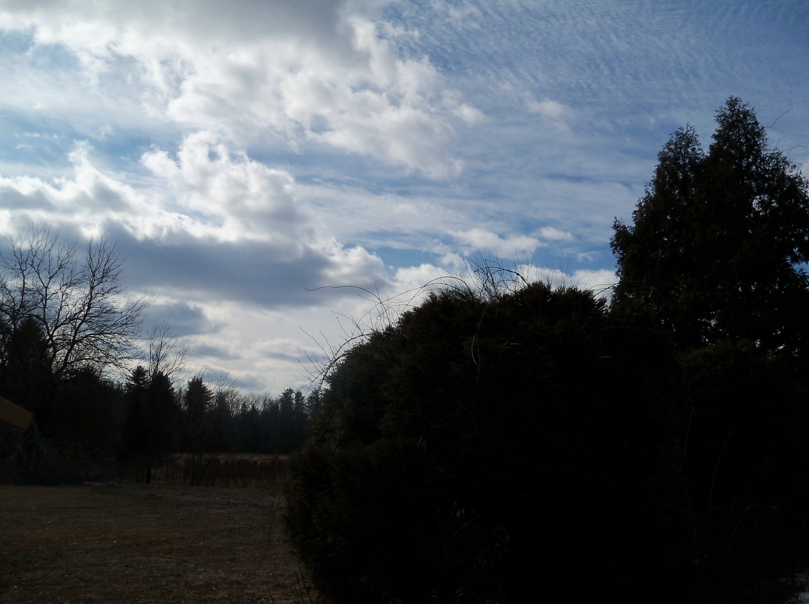 Plant Journeys: February 2012