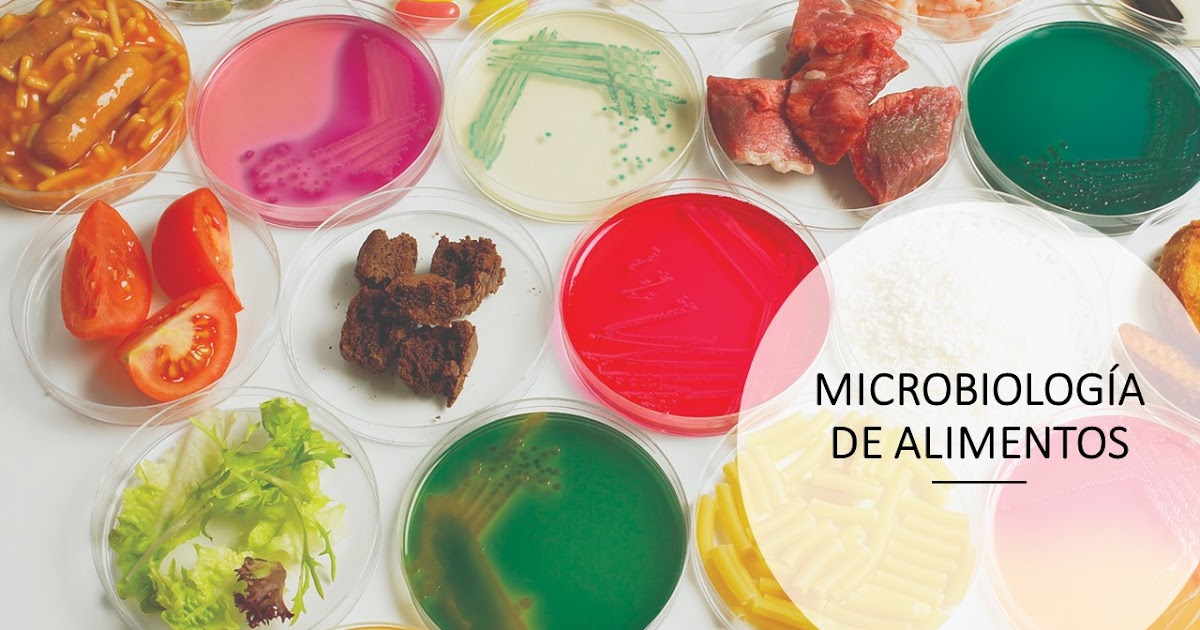 Microbiología de alimentos