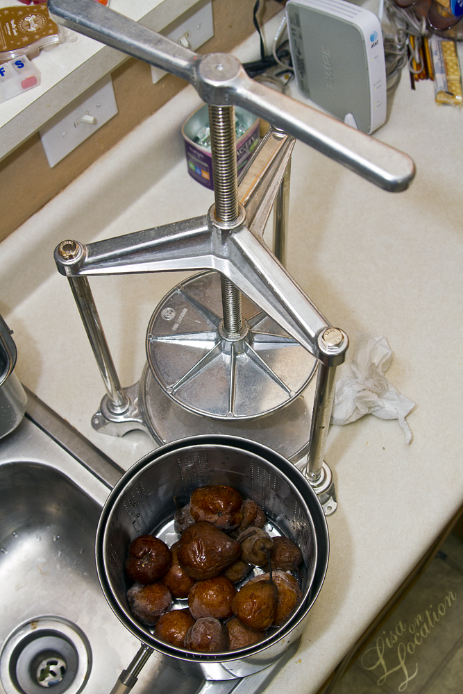 Gibberish: 134/365: Fruit press