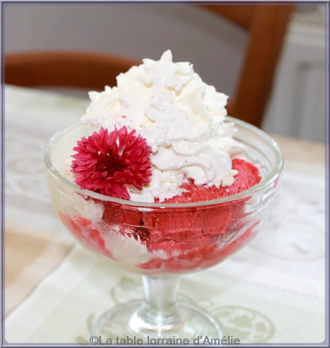 LA TABLE LORRAINE D'AMELIE: Glace à la vanille onctueuse express (sans ...