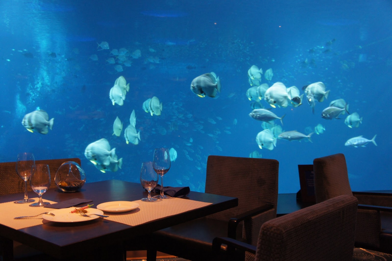 To have and to hold.: SEA Aquarium (Part 4) - Ocean Restaurant by Cat Cora