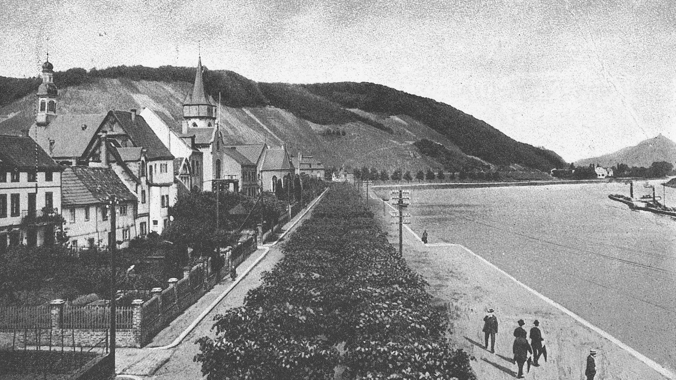 Weinkultur Remagen: Oberwinter