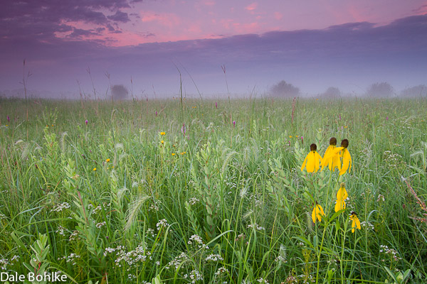 Minnesota Nature & More: Prairie Dawn