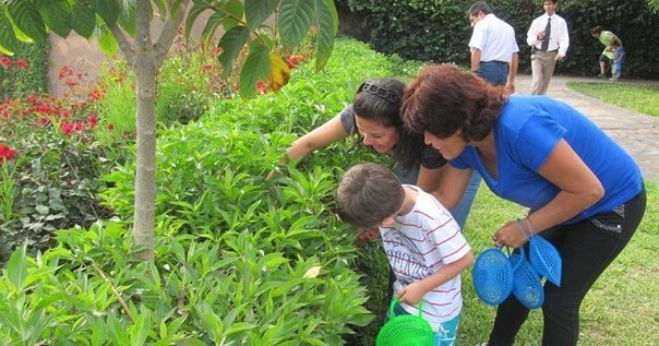 Juegos y retos de esconder y encontrar. Para jugar en la escuela y en ...