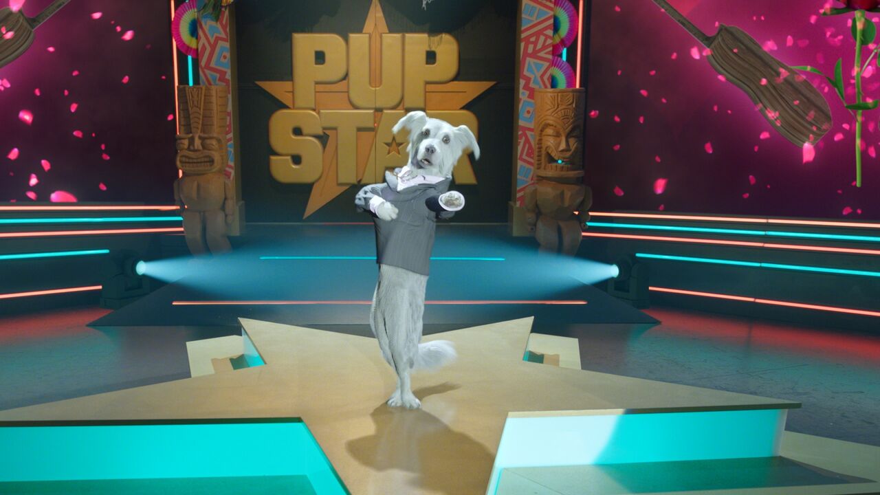 PUP STAR: WORLD TOUR Debuts 5/5/18