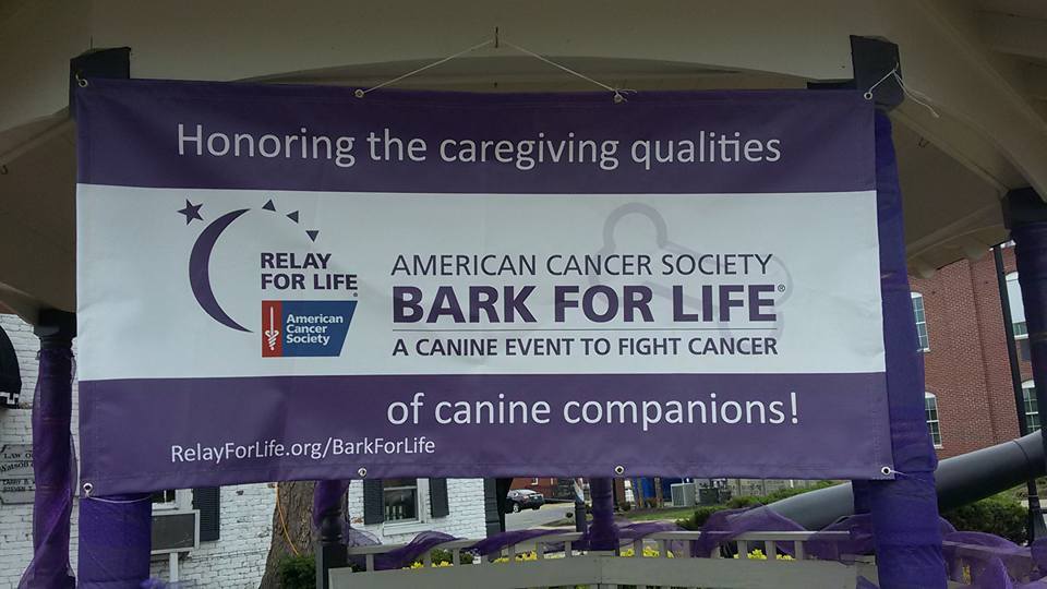 Bark for Life 5K Stewart County