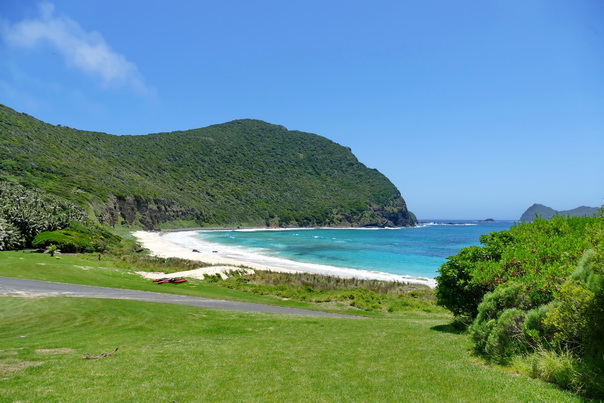 Geheimtippreisen: Wo die Fische "Hallo" sagen - am Ned's Beach auf Lord ...