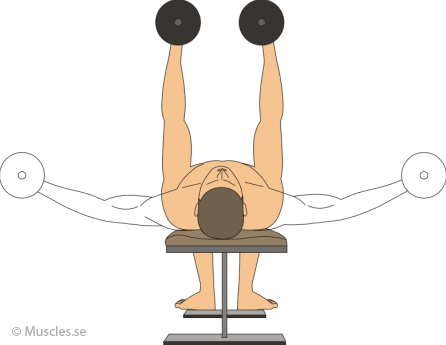 Formation - Träning, kost och hälsa: Dagens träningspass