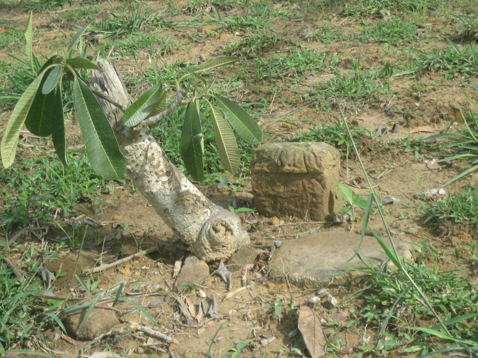TANAH-TANAH PERKUBURAN ISLAM NEGARA BRUNEI DARUSSALAM: PENYERAHAN SIAP ...