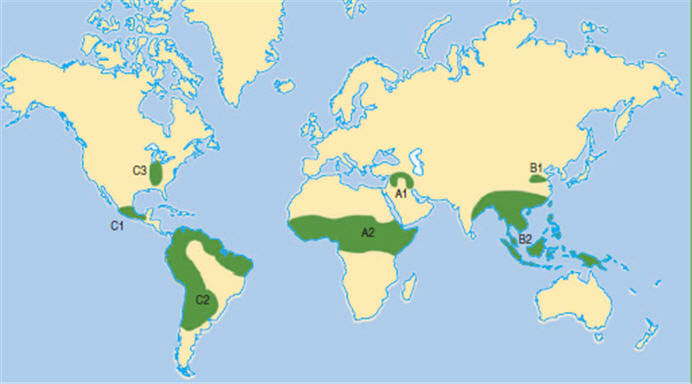 WHY HUMANS BECAME FOOD PRODUCERS | S T R A V A G A N Z A