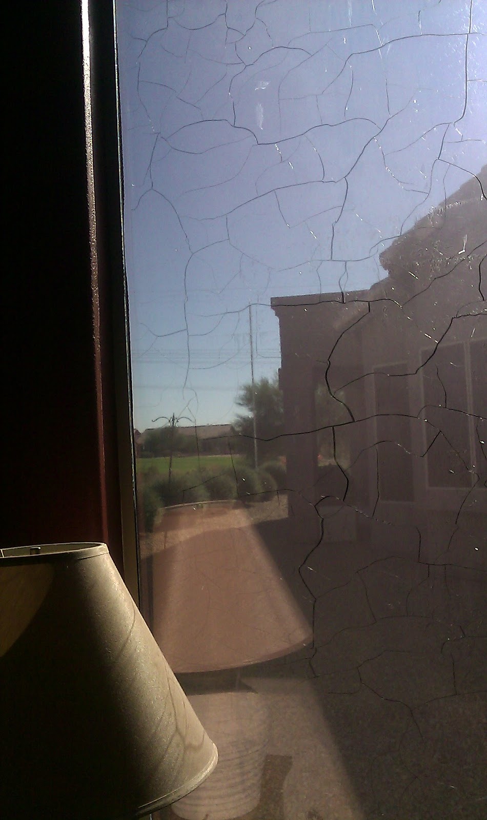 Bad 3M Prestige Bad! Don't blame the Doggie! It is how you make the ...