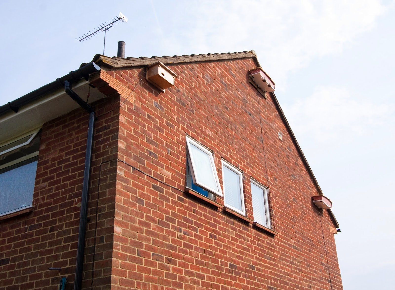 Doug Mackenzie Dodds - Images | My less than swift, swift set up...