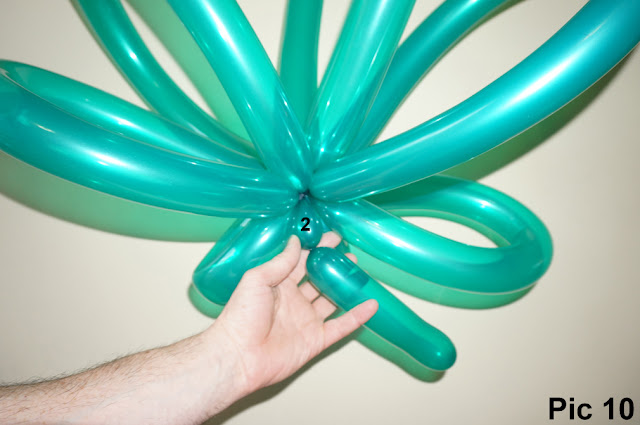 CLASSICAL: Marijuana balloon leaf