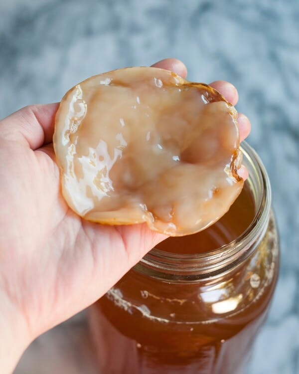 Luke's Canadian Blog: Scoby - what it is and what you can do with it