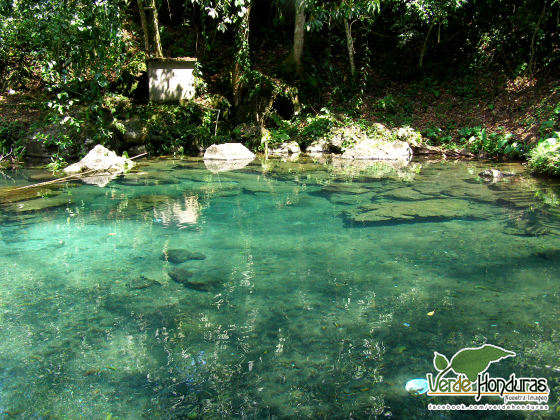 VERDE HONDURAS - FOTOGRAFIA TURISTICA: Rio Lindo - El Nacimiento 1
