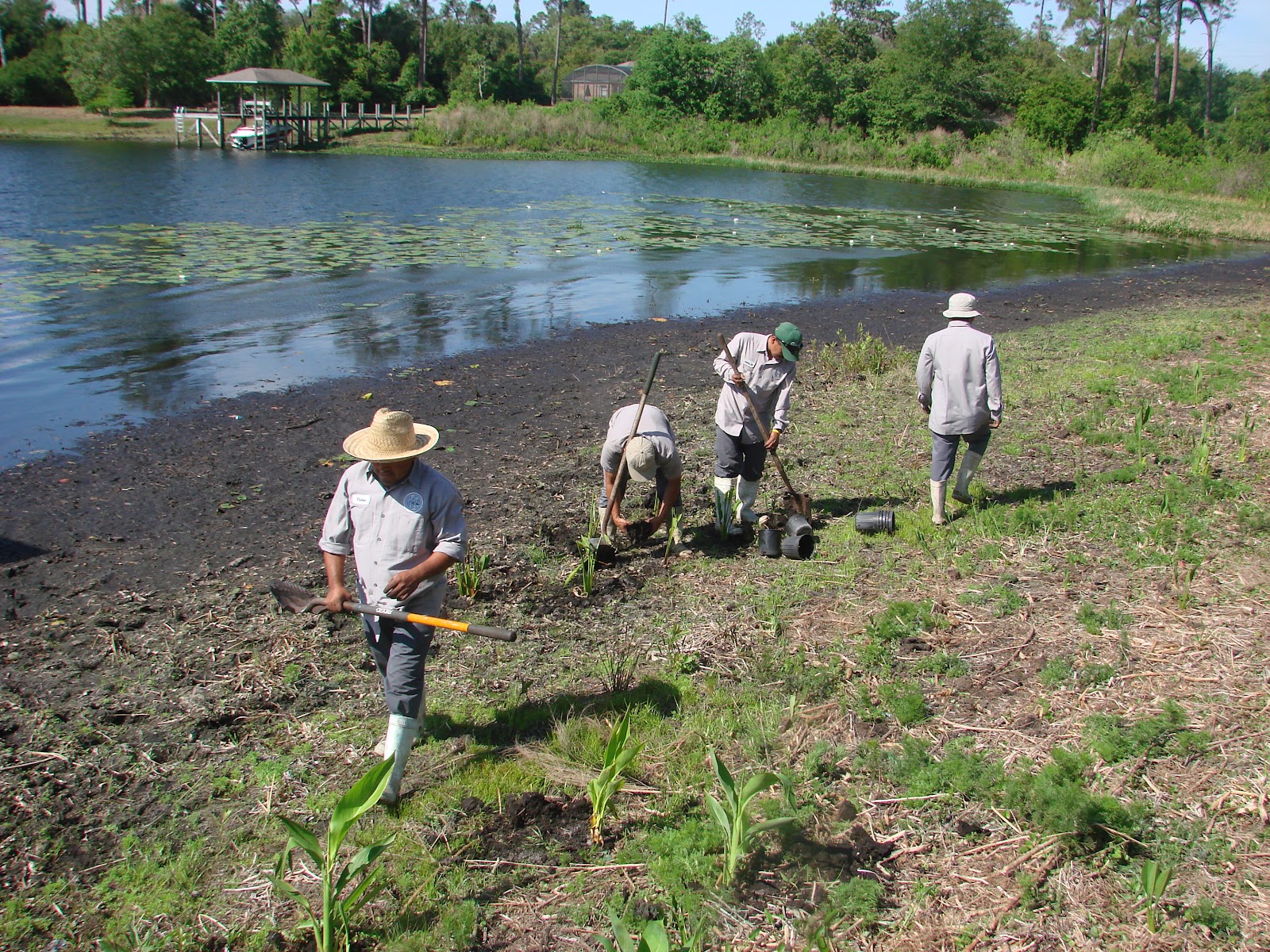 Earth Shattering Gardening: Restoring Ecosystems