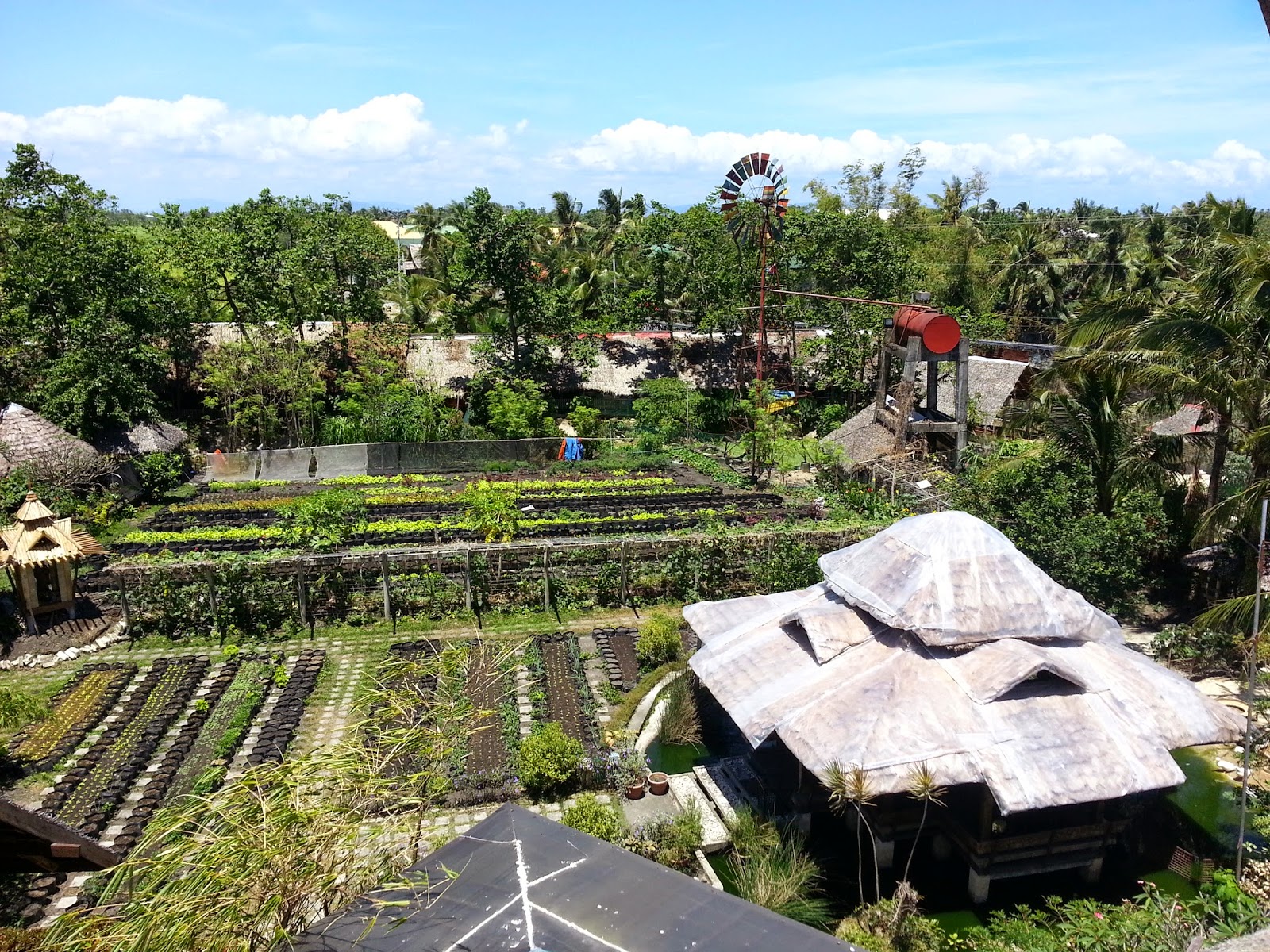 T3Centre Trips Tickets and Tours: Penalosa Farms in Victorias City ...