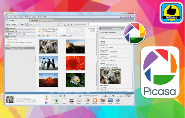 Como Descargar Fotos De Picasa