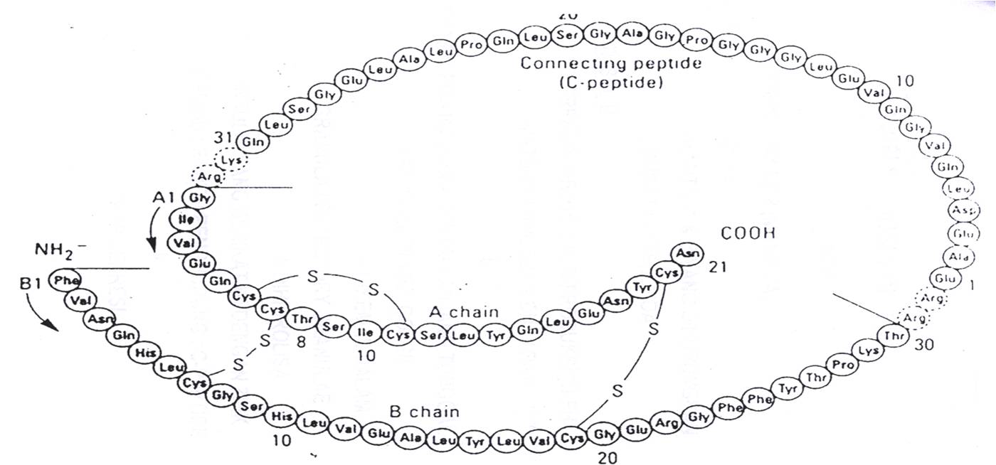 .: Melissa Zone :.: Maret 2013