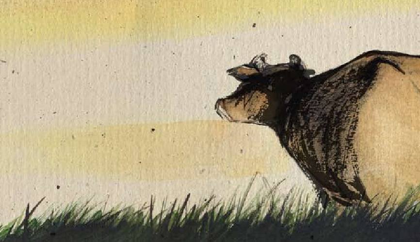 Papeles...: La vaca ciega