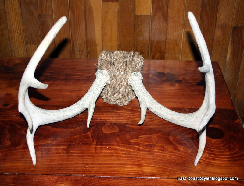 East Coast Styler : Wood Log Mounted Deer Antlers idea