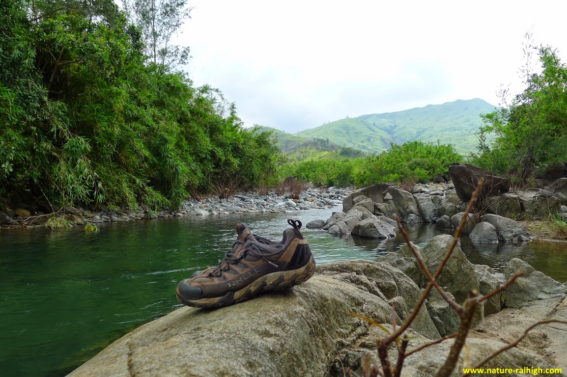 Nature-ral High: Return to Mt. Balingkilat and the Bees