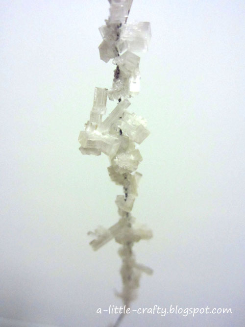 A Little Crafty: Growing Salt and Sugar Crystals