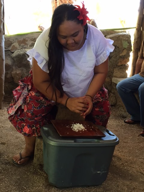 PIBBA INTERNATIONAL: 2016