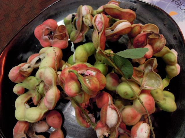 In Pinay's Tummy: FRUIT FROM THAILAND: CAMANCHILE
