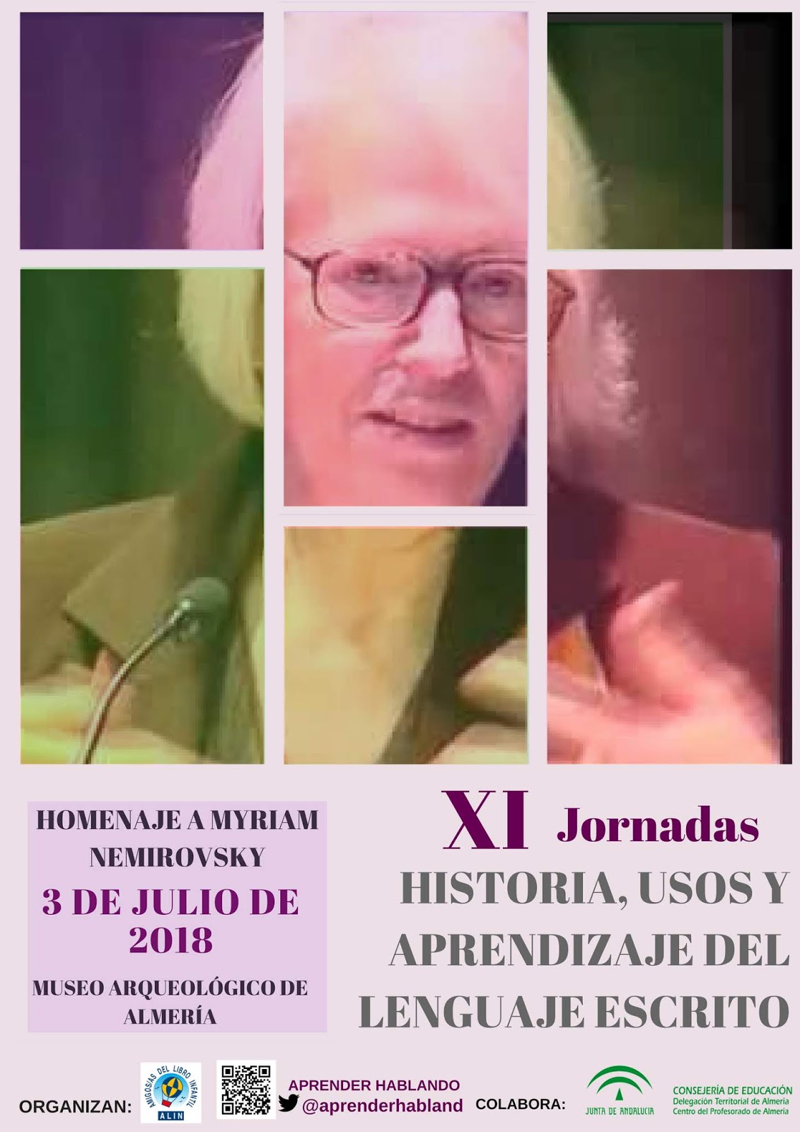 Aprender hablando: Homenaje a Myriam Nemirovsky: XI Jornadas de ...