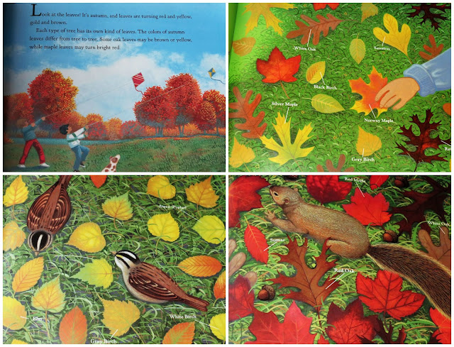 Activitati educative de la suflet la suflet: Toamna e plina de frunze ...