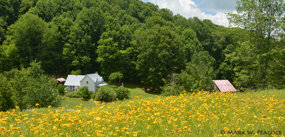 Appalachian Treks: historic homestead