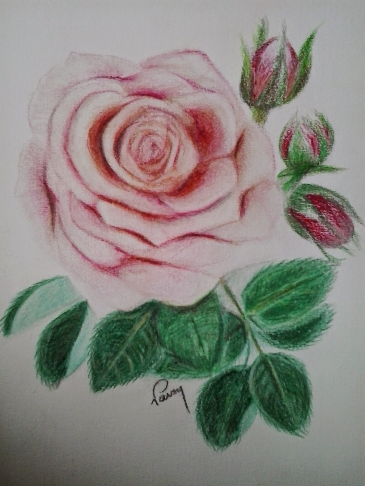 ARTEYO: ROSE SOFT PASTEL AND COLORED PENCIL DRAWING