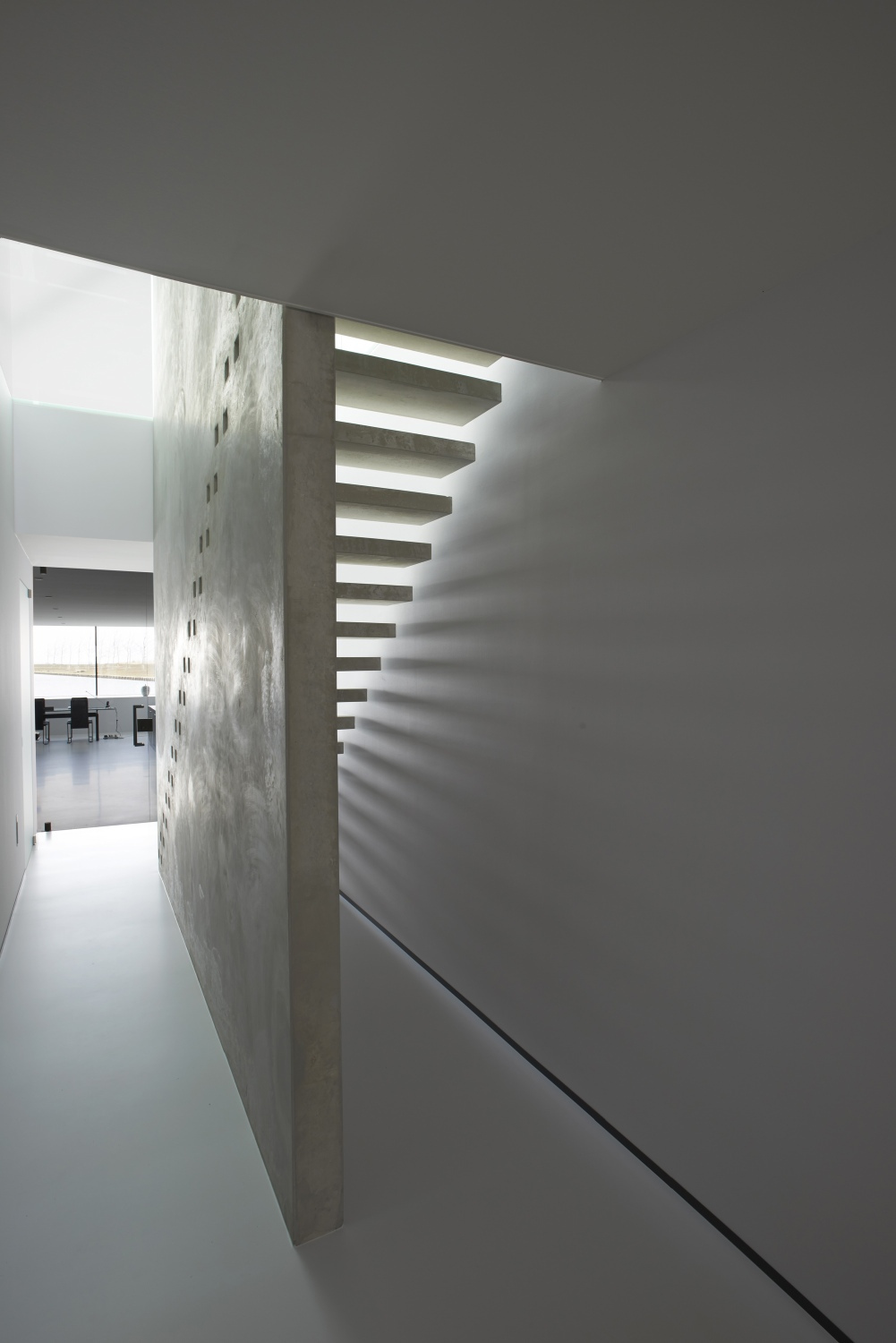 Paul de Ruiter – a f a s i a