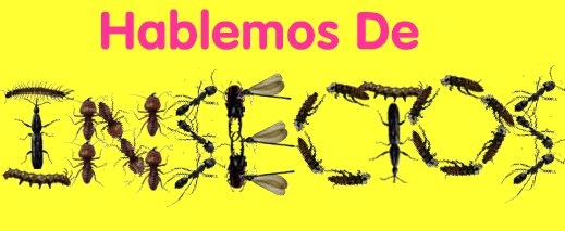 Animales: INSECTOS importantes en la naturaleza