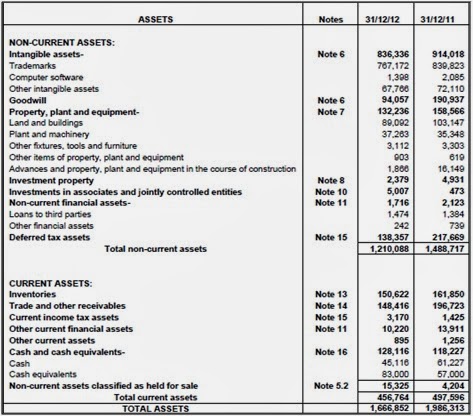DEOLEO SA, Accounting information: Explanations of the Financial Statements